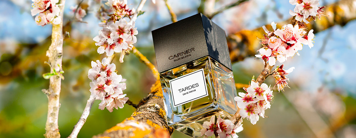 DO YOU KNOW THE ORIGINAL COLLECTION? – Carner Barcelona