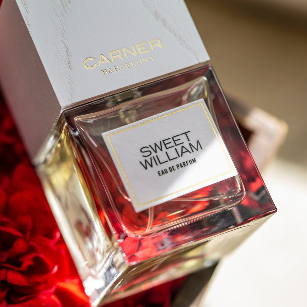 Sweet William - Unisex Floral Perfume | Carner Barcelona