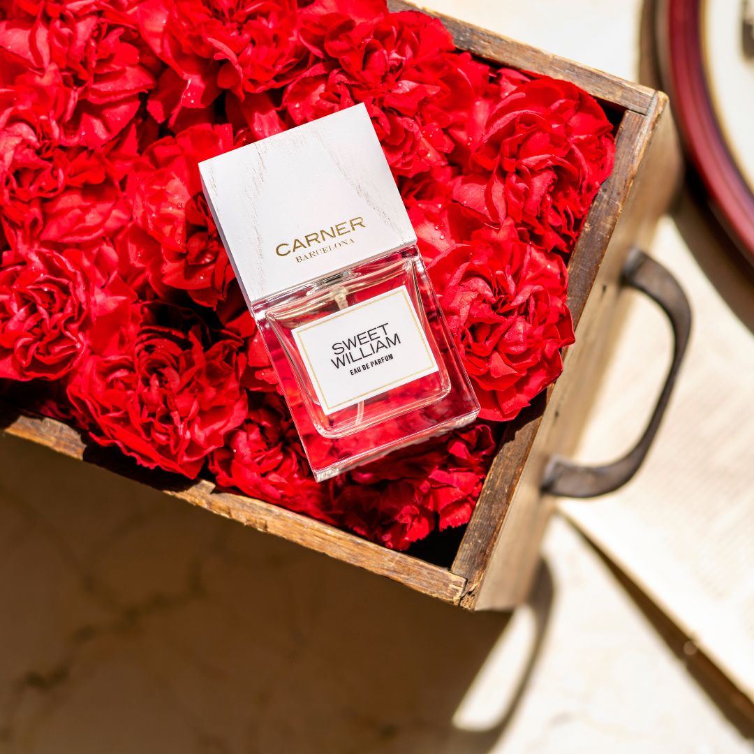 Floral Perfumes - Shop Online | Carner Barcelona